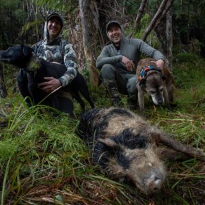 Free Range Hunting New Zealand - J.E. Wilds